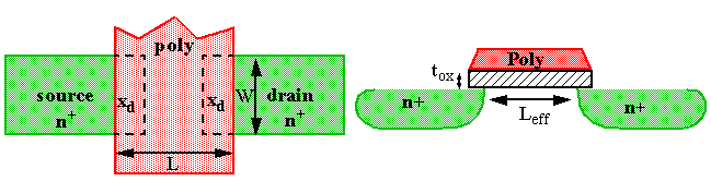 Dynamic Behavior
